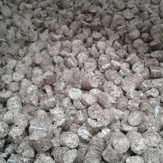 PKP - Energreen Nutrition - Stockfeed | Grains | Oilseeds